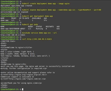 How To Install Minikube On Linux Mint 21 Step By Step