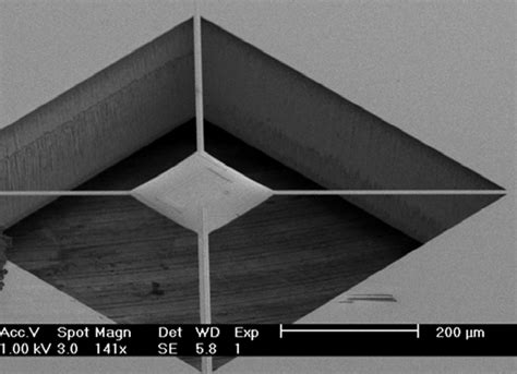 Scanning Electron Microscope Image Of C ℓ Over Prototype Bolometer Download Scientific Diagram