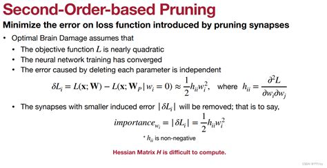 剪枝 pruning 剪枝系统性的介绍（持续更新） magnitude based pruning csdn博客