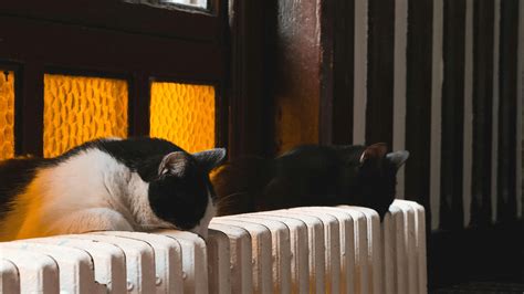 Опалювальний сезон 2025 2026 — з якими викликами зіткнеться енергетика