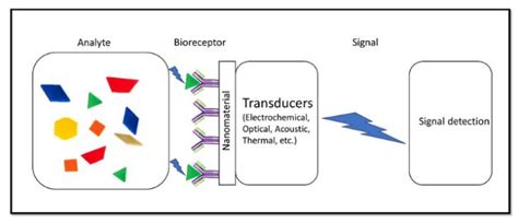 The Construction Diagram For A Nanosensor Download Scientific Diagram