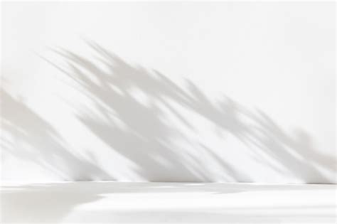 제품 프레젠테이션을 위한 추상적인 흰색 스튜디오 배경입니다 창문과 꽃과 야자수 잎의 그림자빈 방 복사 공간이있는 3d 룸 여름 콘서트 흐린 배경 0명에 대한 스톡 사진 및