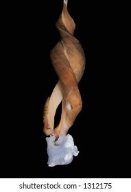 408 Rare Sex Images Stock Photos Vectors Shutterstock