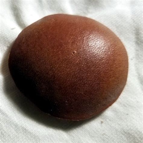 Loads Of Testing Yields New Reliable And Cheap Leather Hardening