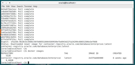 How To Deploy An Oracle Database 19c Docker Container Sean Stacey For What Its Worth