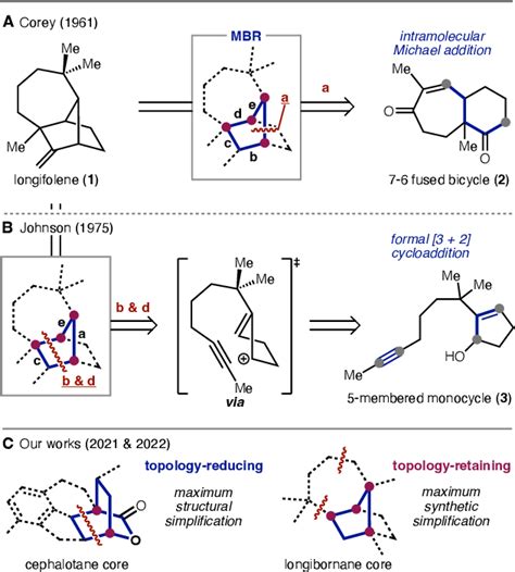 Figure 2 From Use Of Emerging C H Functionalization Methods To