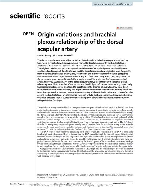 Pdf Origin Variations And Brachial Plexus Relationship Of The Dorsal