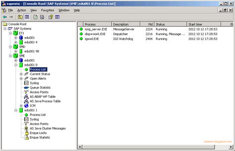 Sidadm Sap Management Console