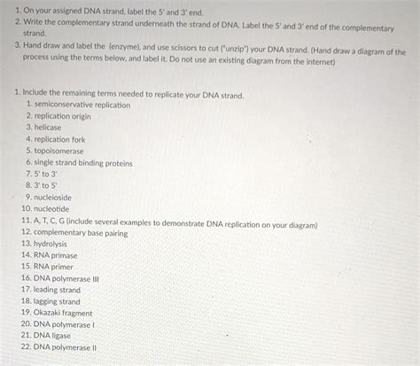solved dna template strand