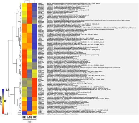 Abundance Profile And Hierarchical Cluster Analysis Of Commonly Download Scientific Diagram