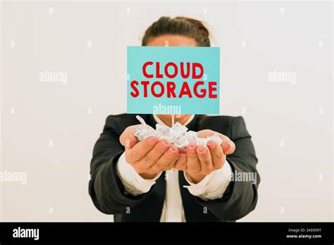 Text Sign Showing Cloud Storage Business Overview Computing Connect