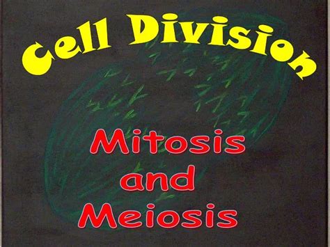 PPT Cell Division PowerPoint Presentation Free Download ID 2474917