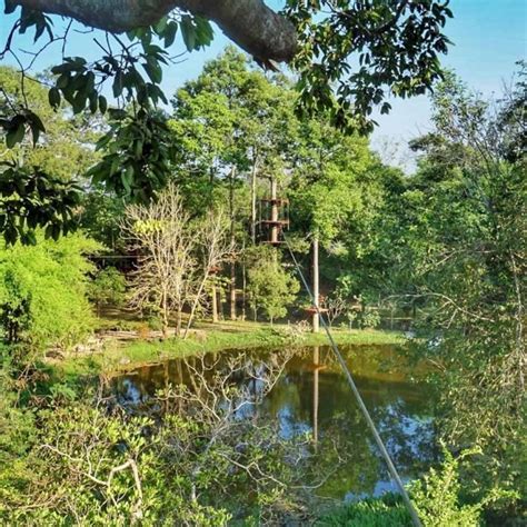 ทรทอป แอดเวนเจอร พารค หวหน Tree Top Adventure park Huahin ราคาพเศษ