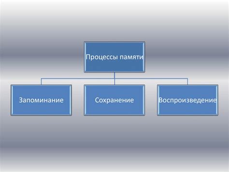 Память. Значения и виды памяти. Способы развития памяти - online ...