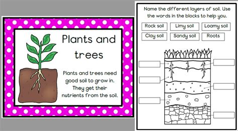 Types Of Soil Teacha Worksheets Library