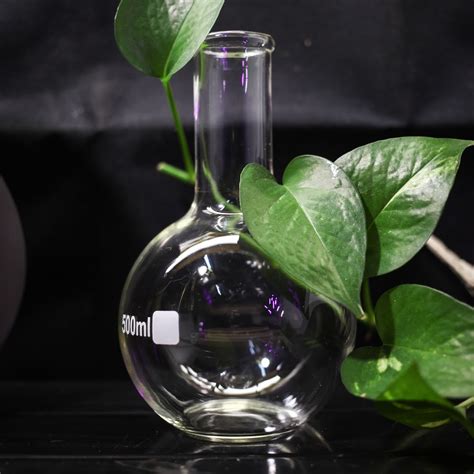 Round Bottom Glass Propagation Flask 500ml The Propagation Lab