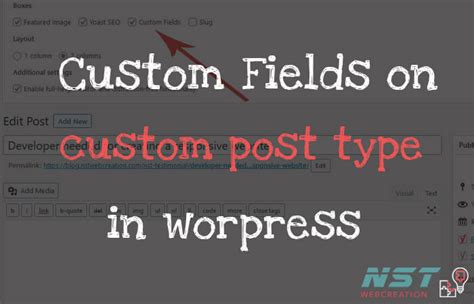 How To Add Custom Fields Option To Custom Post Type Wordpress Nst