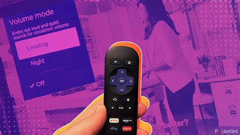 Easy Methods To Use The Roku Privateness Settings Ushonline