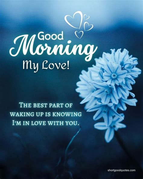 60 Best Romantic Good Morning Images And Quotes Shortgoodquotes