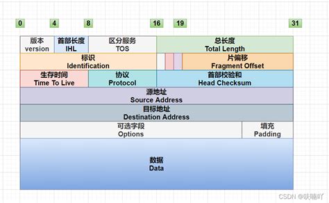 计算机网络【ip数据包首部的各个字段详解】 4 读取协议数据包中的帧首部各字段的值 csdn博客