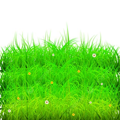벡터 잔디 잔디 풀 Png 벡터 풀 잔디 풀 Png Png 일러스트 및 벡터 에 대한 무료 다운로드 Pngtree