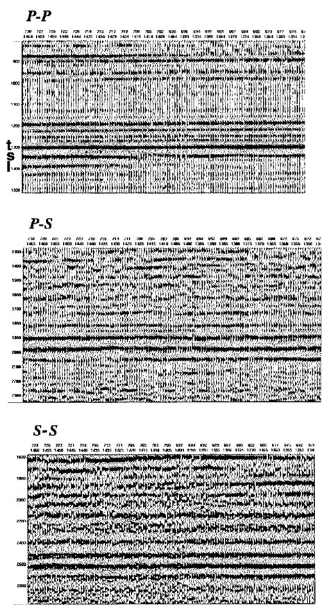 P P P S And S S Data From A C Survey At Olds Alberta The P Wave Download Scientific