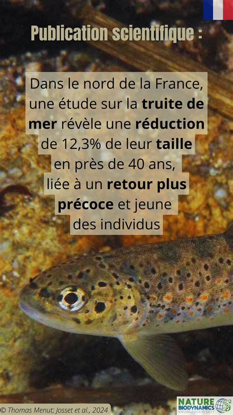 Nature Biodynamics Posted On Linkedin