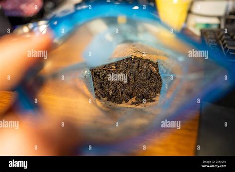 Working In A Soil Lab Iwth Soil Samples Testing A Soil Test In
