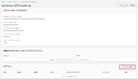 Rds For Sql Serverでサーバー監査sql Server Auditを試してみた Developersio