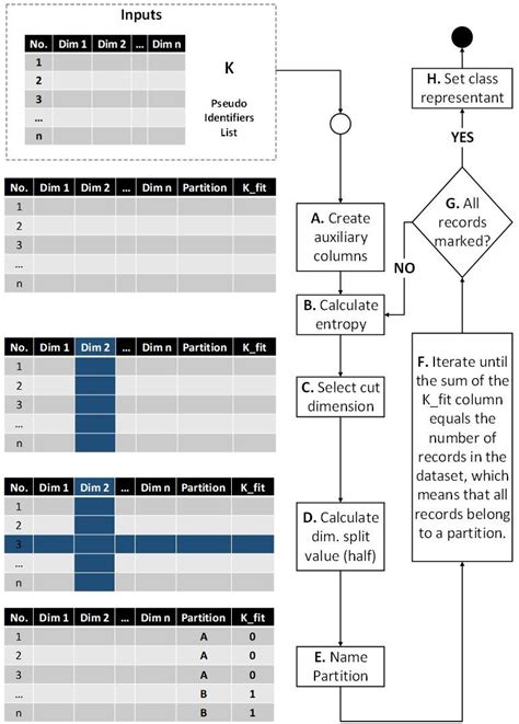 anonylitics distributed implementation 1 anonymization strategy since