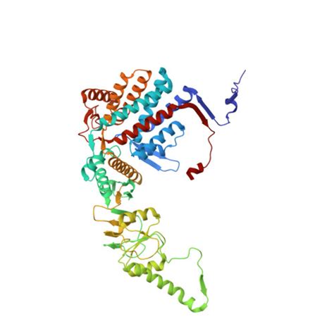 RCSB PDB - 8SHG: CCT G beta 5 complex closed state 9