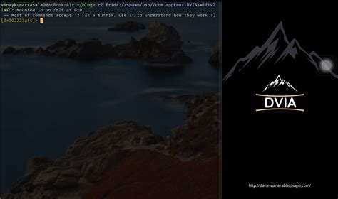 Ios Apps Penetration Testing R2frida For Ios App Runtime Manipulation