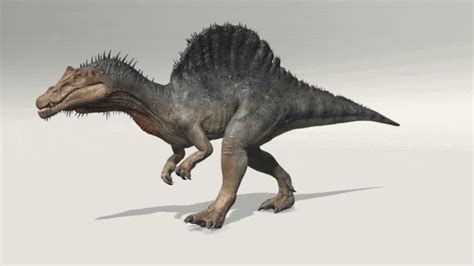 Animate A Spinosaurus Walk Cycle Sophoria Academy