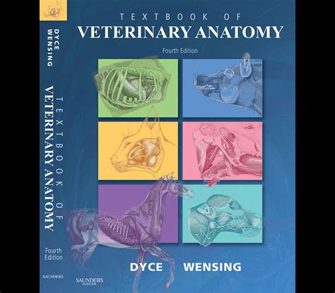Textbook Of Veterinary Anatomy On Behance