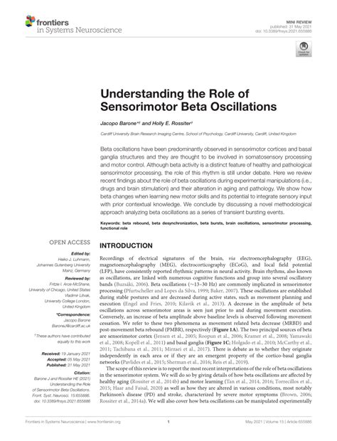 Pdf Understanding The Role Of Sensorimotor Beta Oscillations