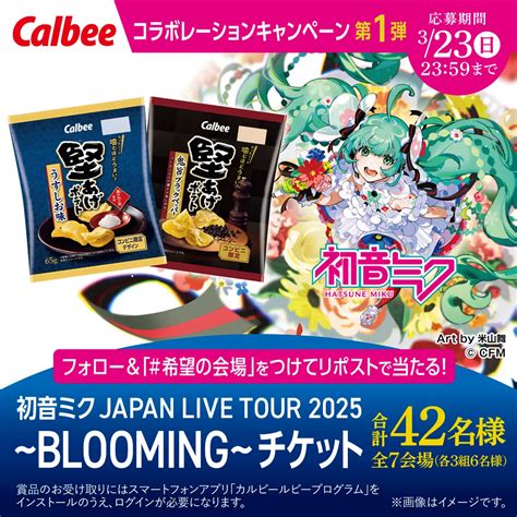 Japan Exclusive Hatsune Miku Potato Chips Arrive This April