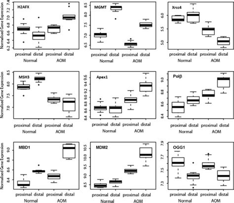 Box Plots Demonstrating Gene Expression Microarray Dataset Six Hours Download Scientific