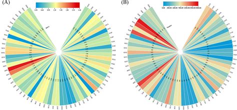 relative synonymous codon usage and quantity analysis of ans gene codon