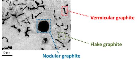 Microstructure Of Cgi With Different Shapes Of Graphite Particles Download Scientific Diagram