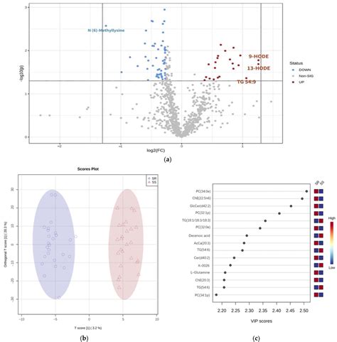 Metabolite Signatures Differentiate Ss And From Sr A Volcano Plot Download Scientific