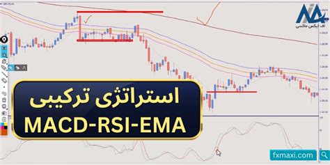 استراتژی ترکیبی Macd Rsi Ema 🥇وین ریت 80 در تایم 1 دقیقه