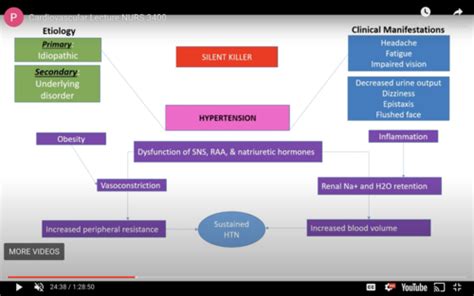 Cardiovascular System Flashcards Quizlet