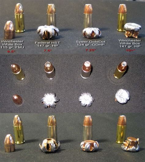 Forensic Science Noah Whetstone Forensic Science Noah Whetstone