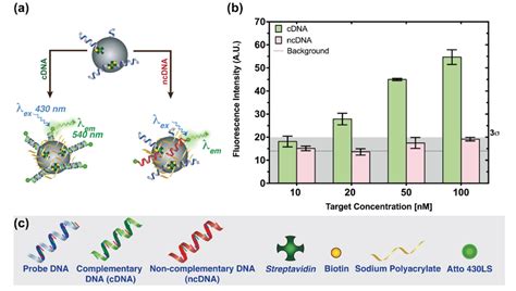 A Schematics Of The Assay Used To Detect Dna Using An Electrostatic Download Scientific