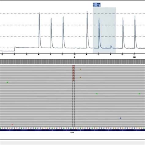 Egfr Exon 19 Pyro Gram And Miseq Bam Pileup Ngs Format Of Aligned Download Scientific Diagram