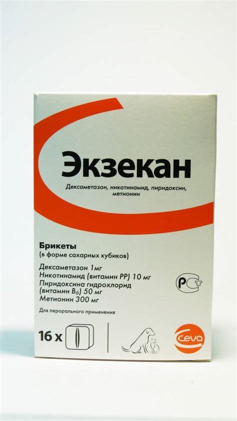 Экзекан для кошек: инструкция по применению, отзывы, аналоги препарата