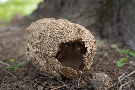 Degrowth Traces Which Dissapear Behance