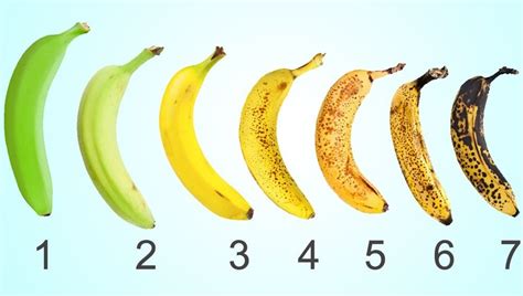 Different Stages Of Banana Ripeness Nutrition Information