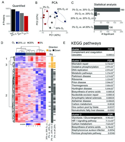 Proteomics Analysis A Amount Of Quantified Proteins Per Experimental Download Scientific