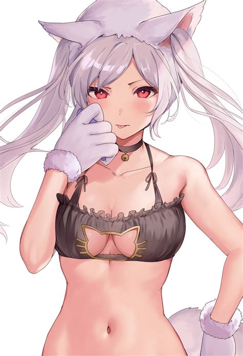 Cat Lingerie Danbooru